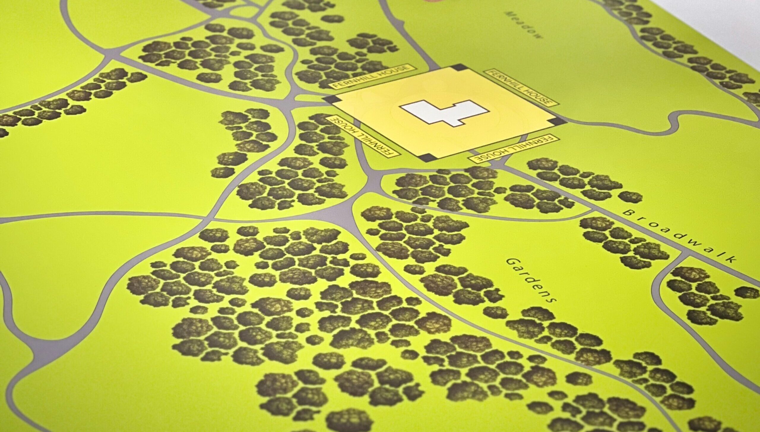 Fernhill Park Experience - Public Design Lab